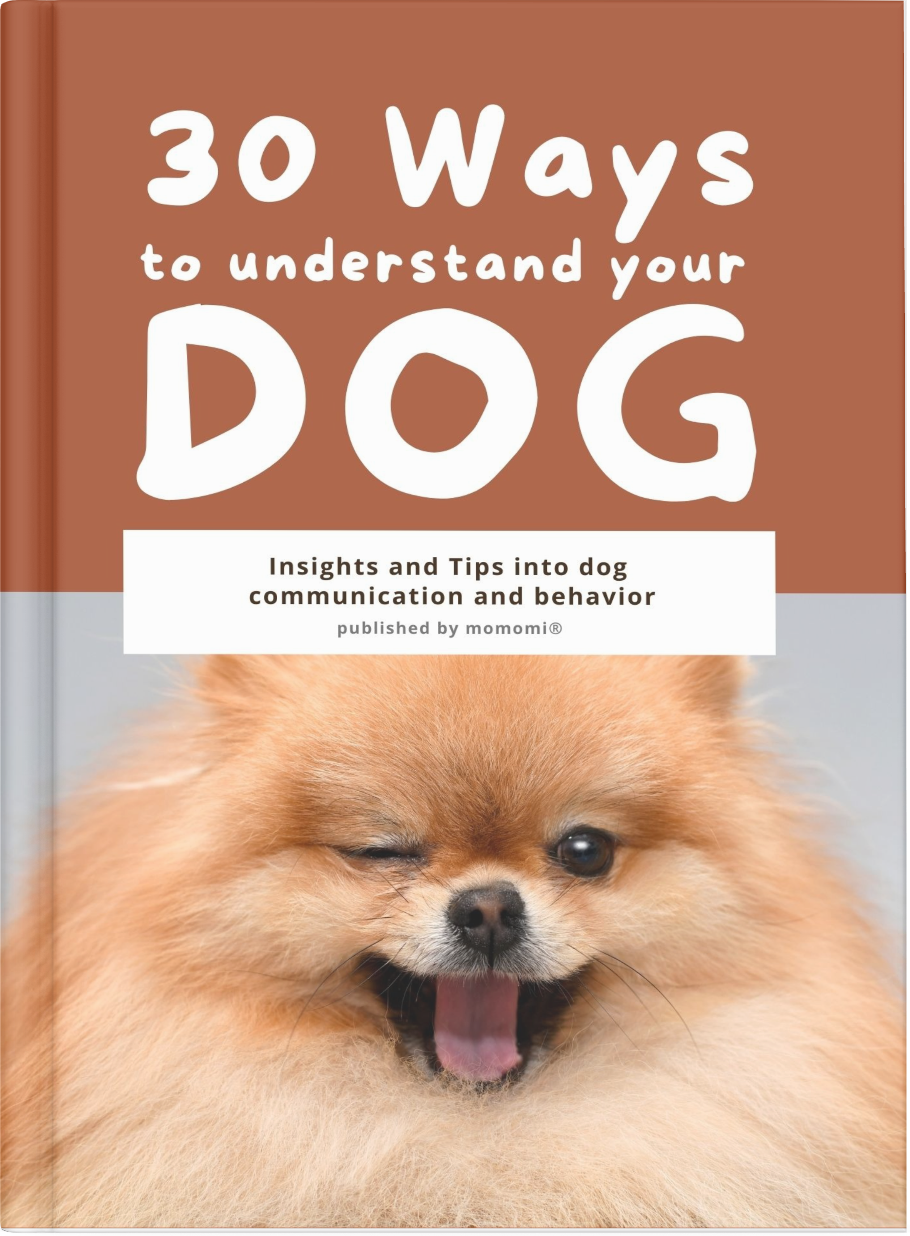 30 Ways to Understand Your Dog – Momomi